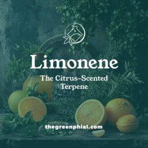 Limonene - The Citrus-Scented Terpene