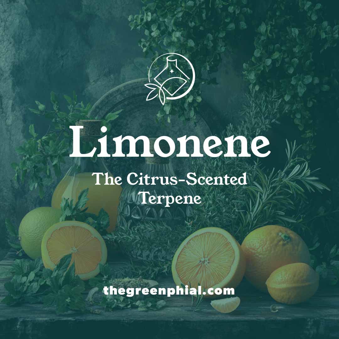 Limonene - The Citrus-Scented Terpene